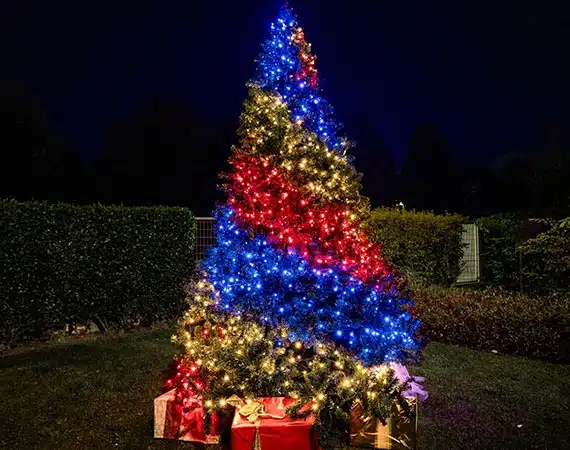 Commercial Christmas Tree Lights Fantasy Lights Group